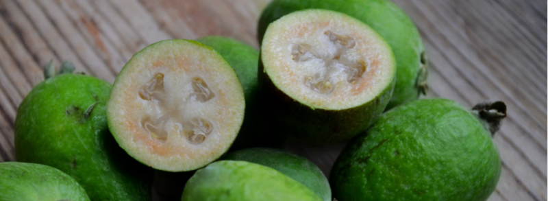 Feiolix® - GLP-1 and Synbiotic Benefits – Real Health Powders