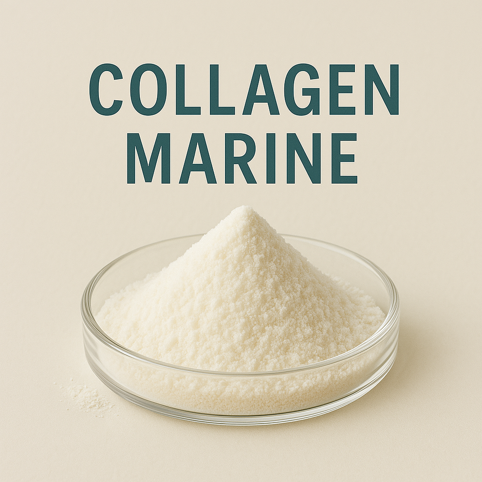 Collagen Marine – Real Health Powders